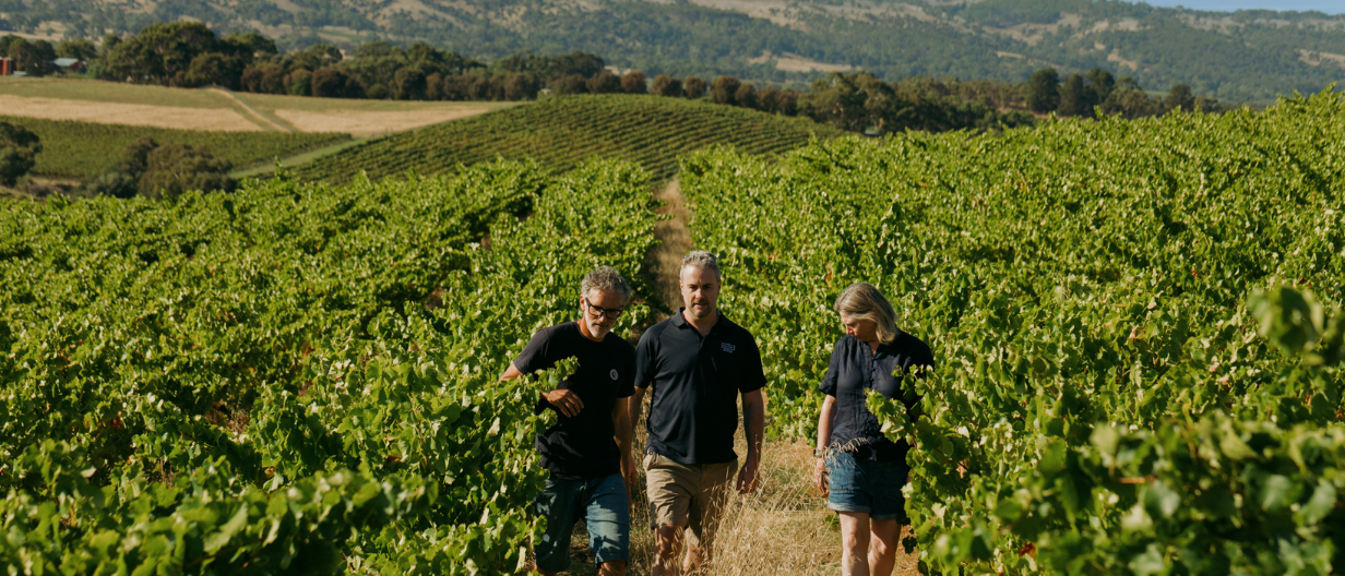 New Custodians of the Trott Vineyard – Wirra Wirra Vineyards